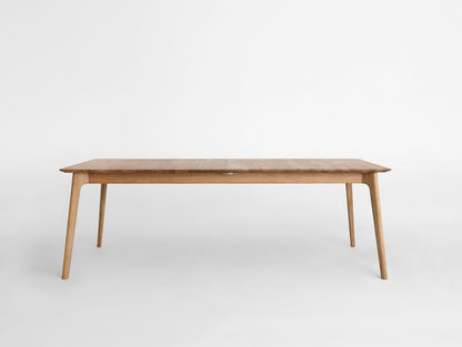 Salon Extendable Dining Table - Rectangular by Ro Collection – Really ...